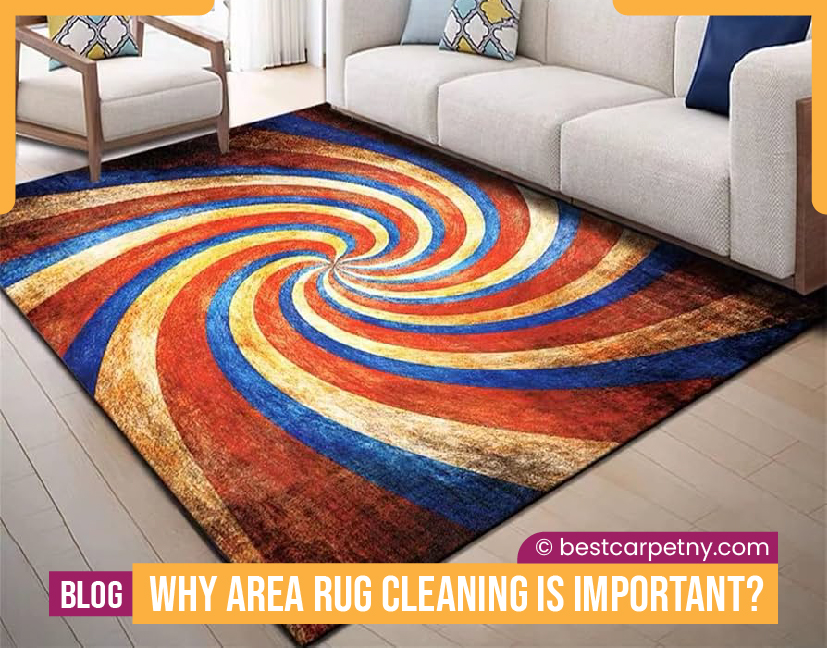 Best Carpet NY | 20% off on all cleaning services - New York | Best ...